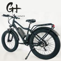 China 48V 1000W 17AH 50KM/H USA OEM Customized Fat Tire Electric Mountain Bicycle for Cargo for sale