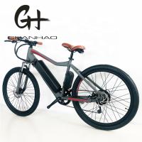China Powerful 48V500W 14Ah Lithium Battery 26