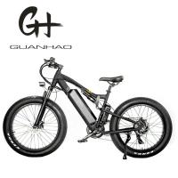 China Customized 26