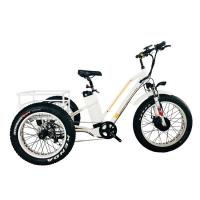 China 48V 14AH Rear Basket 4.0 Snow Tire Electric Cargo Tricycle with USA CE Certification for sale