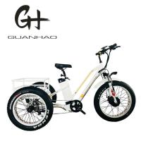 China 48V 14AH Rear Basket 4.0 Snow Tire Electric Cargo Tricycle with USA CE Certification for sale