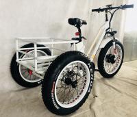 China 48V 14AH Rear Basket 4.0 Snow Tire Electric Cargo Tricycle with USA CE Certification for sale