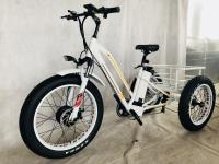 China 48V 14AH Rear Basket 4.0 Snow Tire Electric Cargo Tricycle with USA CE Certification for sale