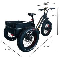 China 48V 14AH Rear Basket 4.0 Snow Tire Electric Cargo Tricycle with USA CE Certification for sale