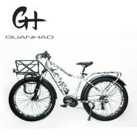 China 26x4.0 Inch Mountain Electric Fat Tire Bike with 1000W Diver Motor and Front Carrier for sale