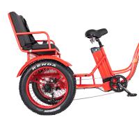 China 50-70km Driving Mileage 48V 1000W 50KM/H 3 Wheels Electric Tricycle for Passenger and Cargo for sale