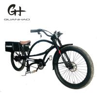 China 750W 48V 118AH 24