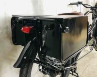 China 750W 48V 118AH 24