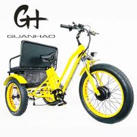 China US Fat Tire Electric Passenger Tricycle with 1000W Bafang Motor and Aluminum Pedal for sale