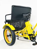 China US Fat Tire Electric Passenger Tricycle with 1000W Bafang Motor and Aluminum Pedal for sale