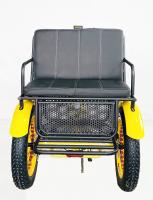 China US Fat Tire Electric Passenger Tricycle with 1000W Bafang Motor and Aluminum Pedal for sale