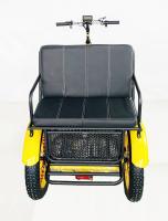 China US Fat Tire Electric Passenger Tricycle with 1000W Bafang Motor and Aluminum Pedal for sale