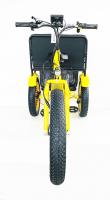 China 24-Inch Snow Fat Tire 4.0 Electric Rickshaw Tricycle with 48V 750W Motor and Rear Seat for sale