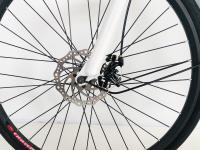 China 28inch City Bike 36V250W Lithium Battery 14AH EN15194 EN15194 for Women Lady USA Europe for sale