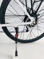China 28inch City Bike 36V250W Lithium Battery 14AH EN15194 EN15194 for Women Lady USA Europe for sale