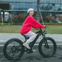 China 24Inch Fat 4.0 Tire 48V 1000W 50KM/H Full Suspension 21AH Electric Mountain Bike E-Bikes for sale