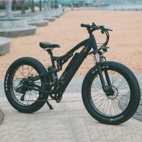China 24Inch Fat 4.0 Tire 48V 1000W 50KM/H Full Suspension 21AH Electric Mountain Bike E-Bikes for sale