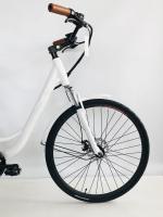 China USA USD390 500W 48V 14AH Electric Lady Bicycle with 7 Speed Gears and LCD Display for sale