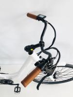 China USA USD390 500W 48V 14AH Electric Lady Bicycle with 7 Speed Gears and LCD Display for sale