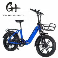 China 750W Magwheel Motor Thru Aluminum Folding Frame Suspension Fork Electric Folding Bike for sale