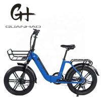 China 750W Magwheel Motor Thru Aluminum Folding Frame Suspension Fork Electric Folding Bike for sale