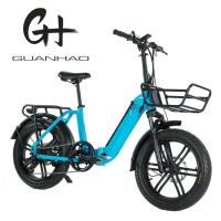 China 750W Magwheel Motor Thru Aluminum Folding Frame Suspension Fork Electric Folding Bike for sale