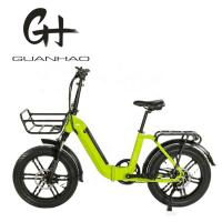 China 750W Magwheel Motor Thru Aluminum Folding Frame Suspension Fork Electric Folding Bike for sale