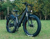 China Best 1000W Electric Fat Tire Bike 26