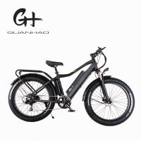 China Best 1000W Electric Fat Tire Bike 26