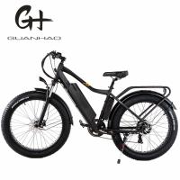 China Best 1000W Electric Fat Tire Bike 26