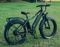 China Best 1000W Electric Fat Tire Bike 26