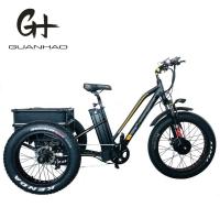 China USA Market BAFANG Sensor Electric Tricycles with Three Wheels and Hydraulic Disc Brake for sale