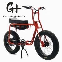 China Disc Brake 20 Inch 750w 1000w Dual Battery Electric Fat Tire Mountain Bike Vintage 2 Seat Beach Cruiser Max 50KM/H ebike for sale