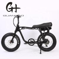 China Disc Brake 20 Inch 750w 1000w Dual Battery Electric Fat Tire Mountain Bike Vintage 2 Seat Beach Cruiser Max 50KM/H ebike for sale