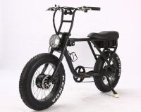 China Disc Brake 20 Inch 750w 1000w Dual Battery Electric Fat Tire Mountain Bike Vintage 2 Seat Beach Cruiser Max 50KM/H ebike for sale