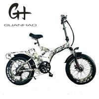 China 20inch Electric Snow Tire Bike with 750W Rear Hub Motor and 48V30AH Lithium Battery for sale