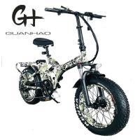 China 20inch Electric Snow Tire Bike with 750W Rear Hub Motor and 48V30AH Lithium Battery for sale
