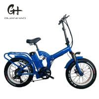 China 20inch Electric Snow Tire Bike with 750W Rear Hub Motor and 48V30AH Lithium Battery for sale