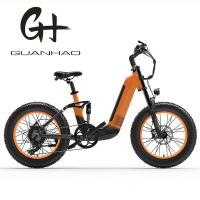 China 1000W 14AH Full Suspension Frame 20