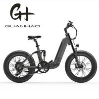 China 1000W 14AH Full Suspension Frame 20