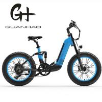 China 1000W 14AH Full Suspension Frame 20