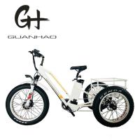 China Open Body Type 24inch 20inch BAFANG Front Motor Electric Tricycle for Adults 48V21AH 750W for sale