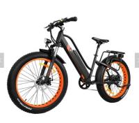 China 750W 50KM/H A2B CE Chinese OEM 48V Motor Fat Tire Electric Mountain Bicycle Good Nice for sale
