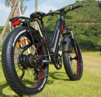 China 750W 50KM/H A2B CE Chinese OEM 48V Motor Fat Tire Electric Mountain Bicycle Good Nice for sale