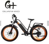 China 750W 50KM/H A2B CE Chinese OEM 48V Motor Fat Tire Electric Mountain Bicycle Good Nice for sale