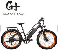 China 750W 50KM/H A2B CE Chinese OEM 48V Motor Fat Tire Electric Mountain Bicycle Good Nice for sale