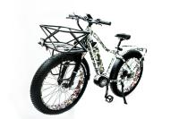 China Disc Brake 26inch 1000W Electric Mountain Bike with 17AH Battery and BaFang M620 Motor for sale