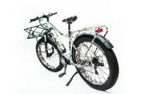 China Disc Brake 26inch 1000W Electric Mountain Bike with 17AH Battery and BaFang M620 Motor for sale