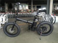 China Advanced Disc Brake Folding Fat Tire E-Bike 20 4.0 Electric Bicycle with 23kg Weight for sale