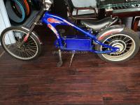 China Electric Bicycle Adult Chopper Bike with Plastic Pedal and Brushless Motor at Best for sale